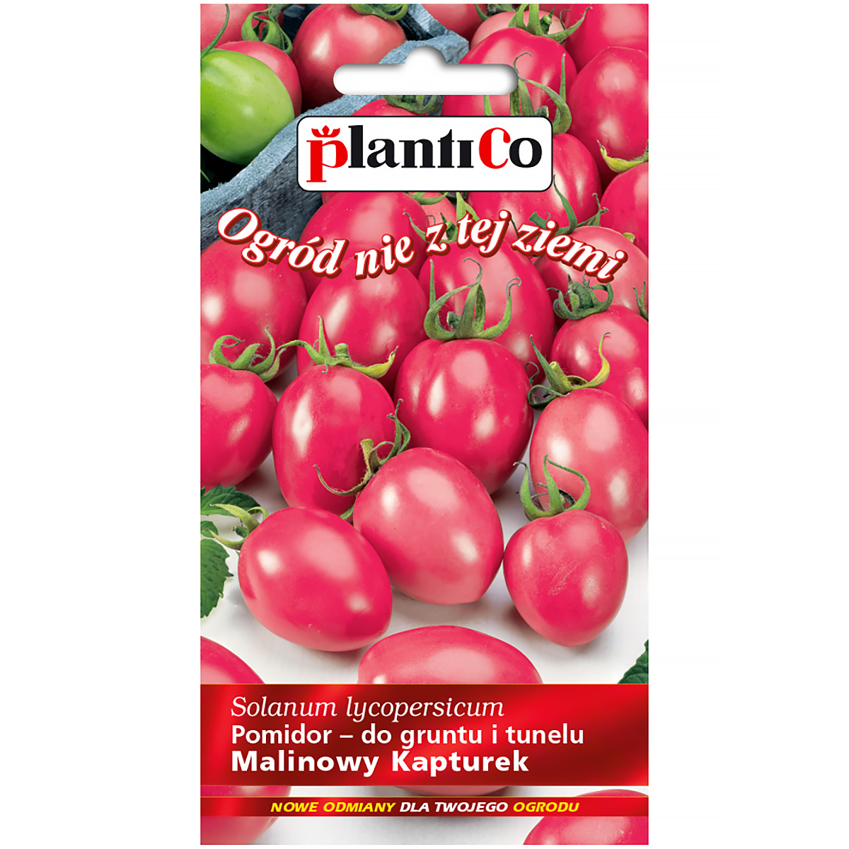 Pomidor Gruntowy Maliniak Kapturek nasiona Plantico 0,2 g